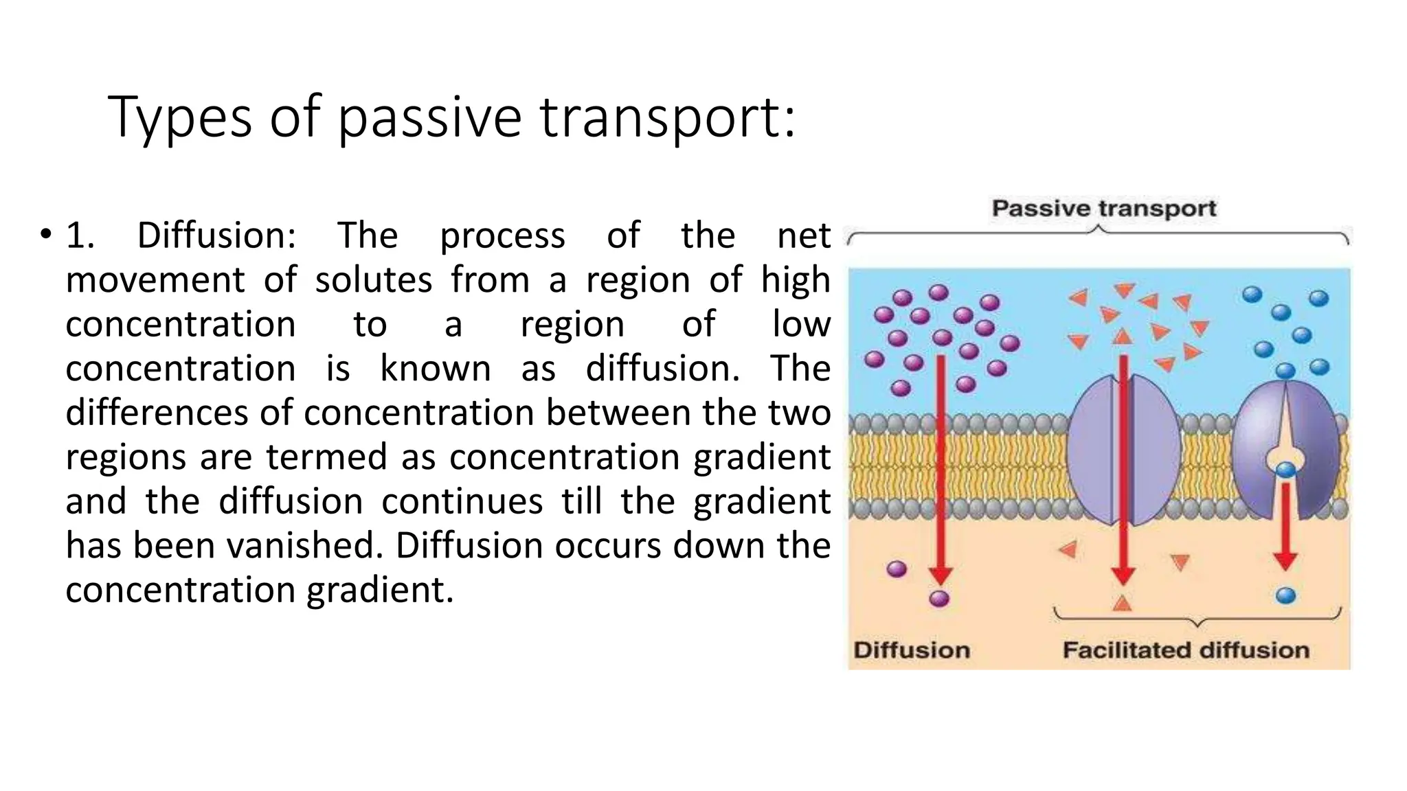 Transport across cell membrane, CELL MEMBRANE | PPT