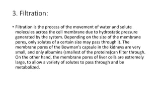 Transport across cell membrane, CELL MEMBRANE | PPT
