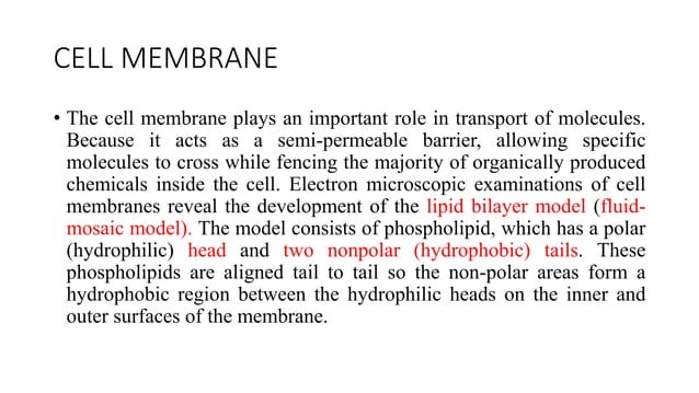 Transport across cell membrane, CELL MEMBRANE | PPT