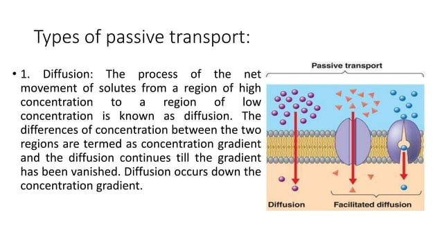 Transport across cell membrane, CELL MEMBRANE | PPT