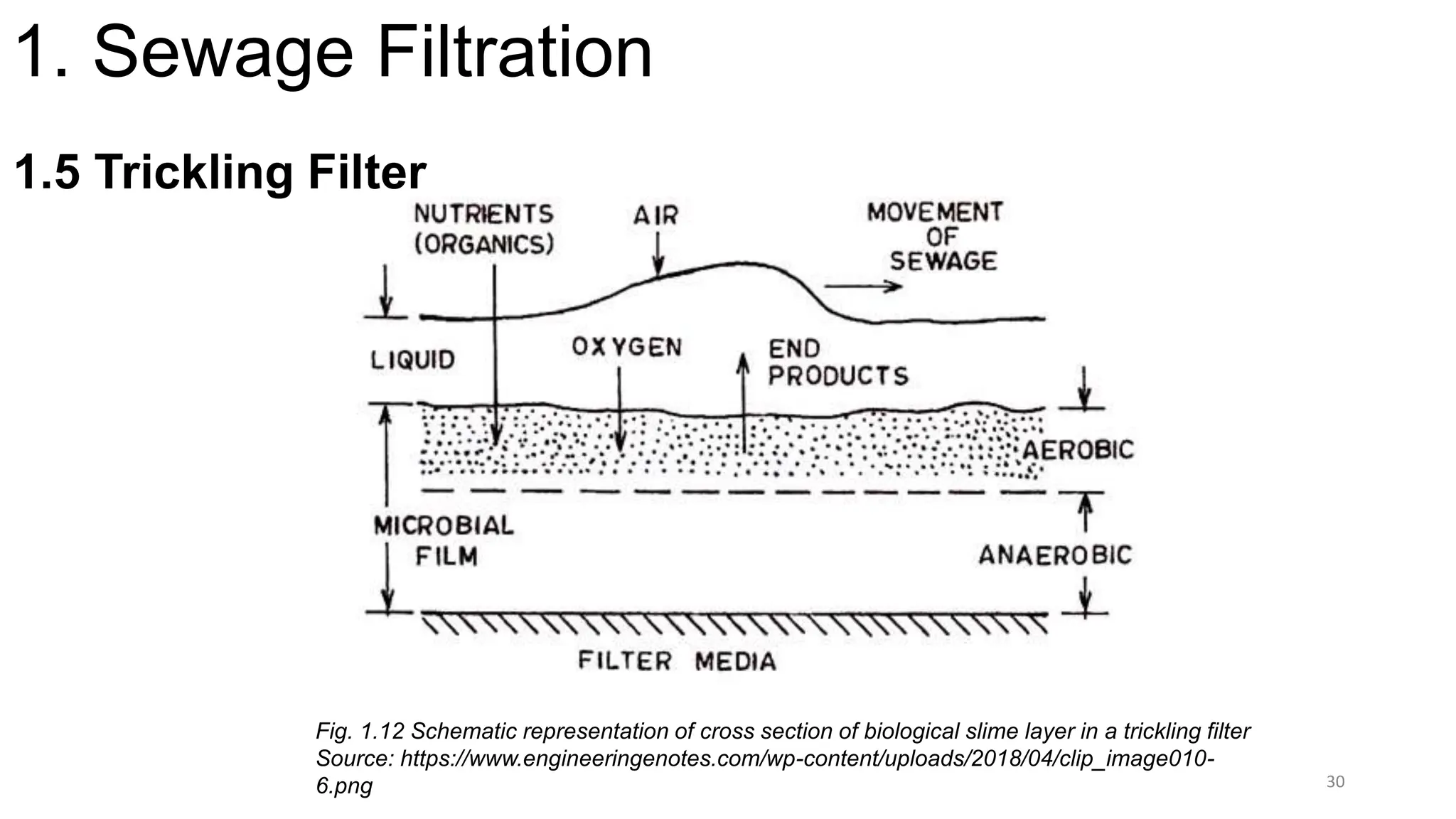 Wastewater Treatment Process (from Sewage Filtration onwards) | PPTX
