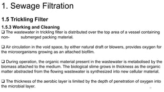 Wastewater Treatment Process (from Sewage Filtration onwards) | PPTX
