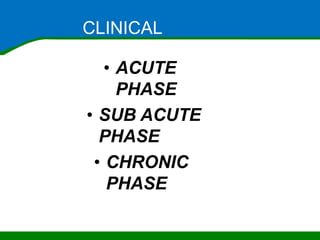 7. Eczema.pptxhhhhhhhhhhhhhhhhhhhhhhhhhhh | PPTX | Skin and Dermatology ...