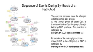 Lipid Biosynthesis - Metabolism of Lipids | PPT