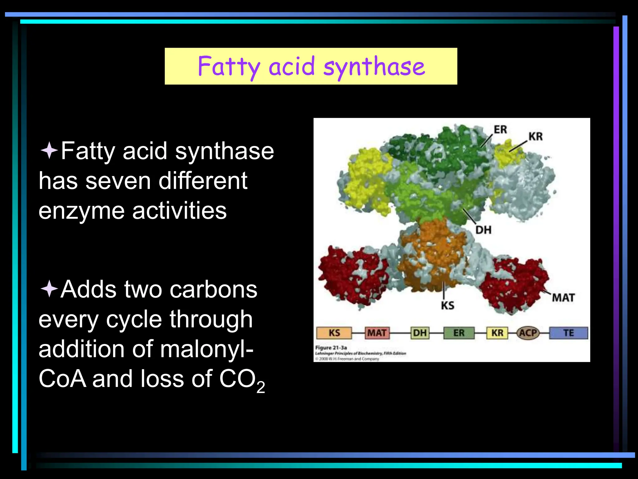 Chemistry and Metabolism of Lipid - Fat_synthesis - with case studies | PPT