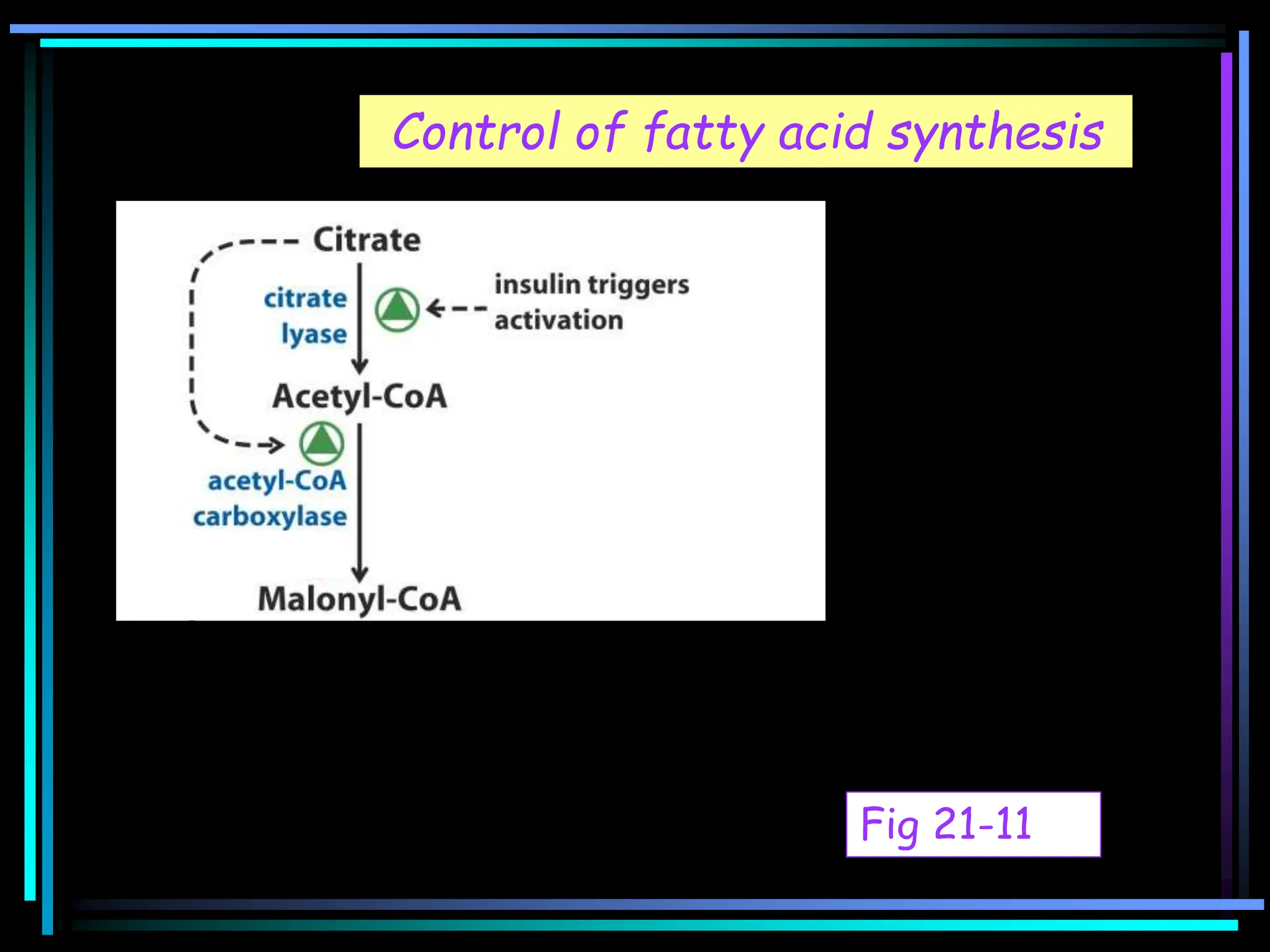 Chemistry and Metabolism of Lipid - Fat_synthesis - with case studies | PPT