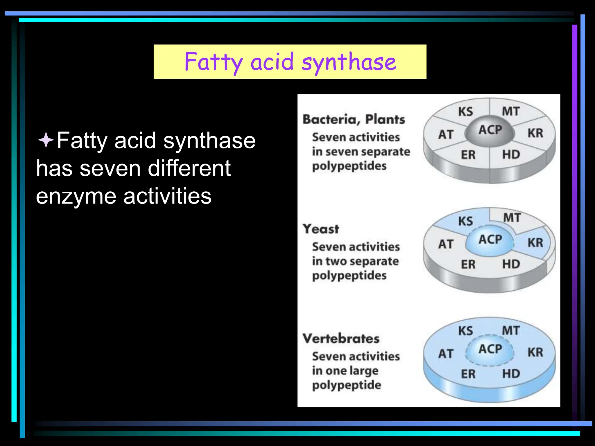 Chemistry and Metabolism of Lipid - Fat_synthesis - with case studies | PPT