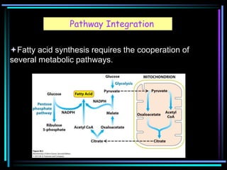 Chemistry and Metabolism of Lipid - Fat_synthesis - with case studies | PPT