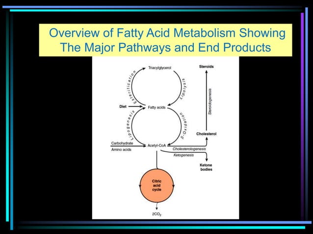 Chemistry and Metabolism of Lipid - Fat_synthesis - with case studies | PPT
