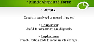 Muscle Types: Skeletal, Smooth, and Cardiac | PPTX