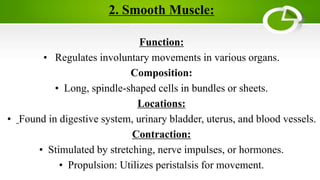 Muscle Types: Skeletal, Smooth, and Cardiac | PPTX