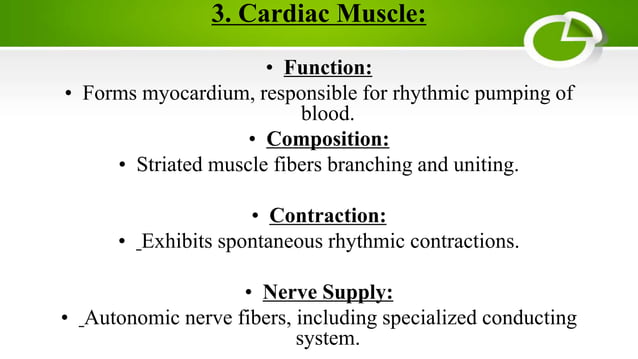 Muscle Types: Skeletal, Smooth, and Cardiac | PPTX | Heart and ...