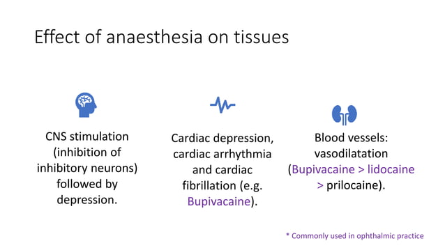 Local Ocular Anesthetics Used in Ophthalmic Clinics | PPT