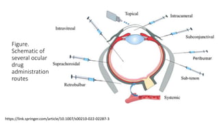 Local Ocular Anesthetics Used in Ophthalmic Clinics | PPTX