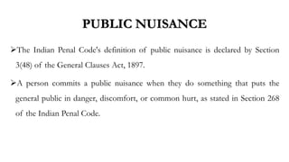 17. PUBLIC NUISANCE.pdf BNS related ipc | PDF