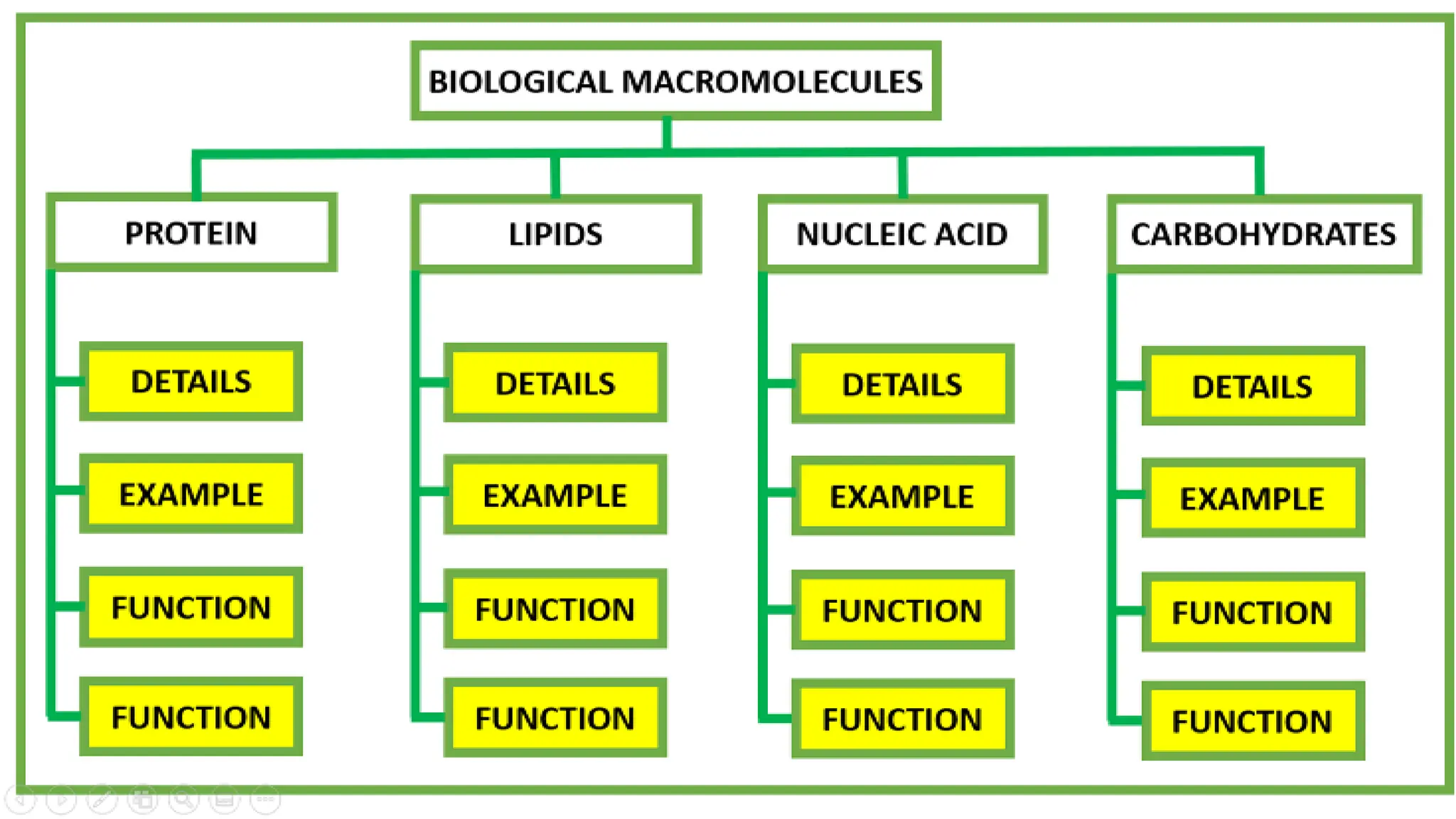Exploring the Structure and Function of Biological Molecules.pdf