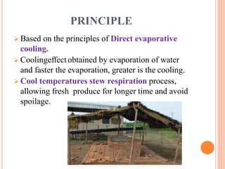 Zero energy cool chambers for post harvest management of fruits and ...