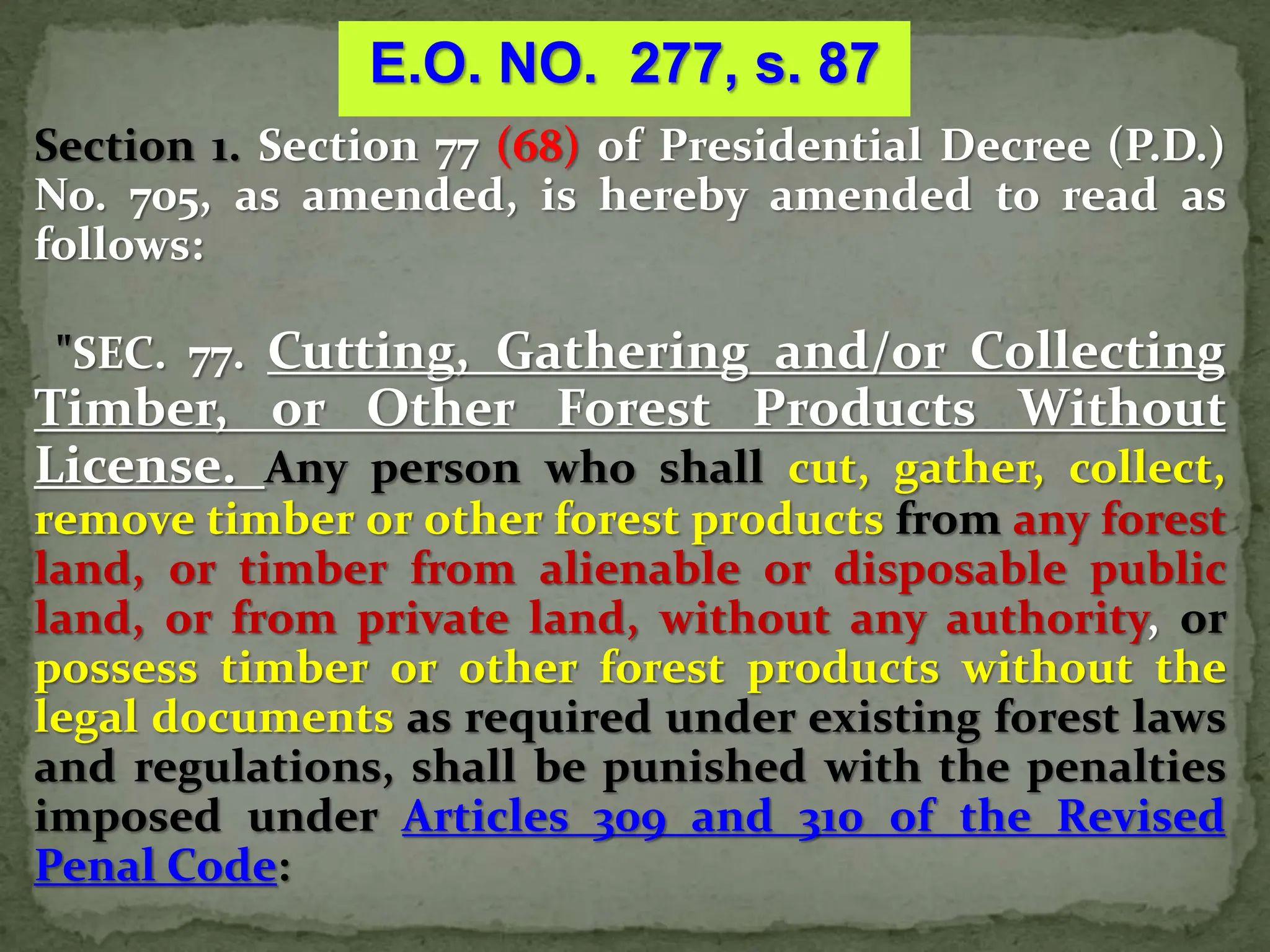 7. PD 705 & RELEVANT FORESTRY LAWS PHILIPPINES | PPT