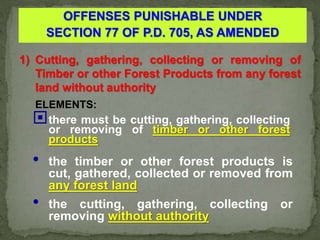 7. PD 705 & RELEVANT FORESTRY LAWS PHILIPPINES | PPT