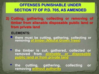 7. PD 705 & RELEVANT FORESTRY LAWS PHILIPPINES | PPT
