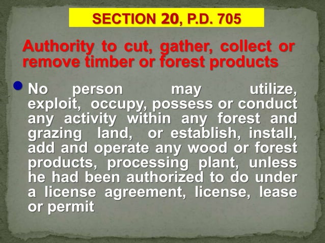 7. PD 705 & RELEVANT FORESTRY LAWS PHILIPPINES | PPT | Crime & Harmful ...
