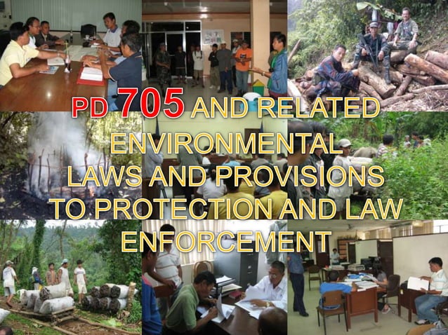 7. PD 705 & RELEVANT FORESTRY LAWS 11-27-29-13.ppt | Crime & Harmful ...