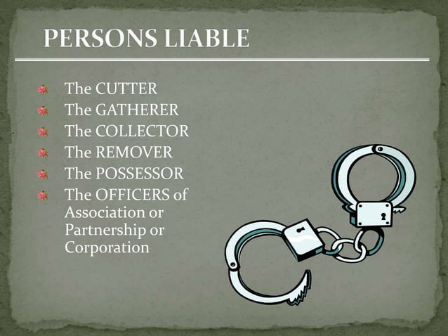 7. PD 705 & RELEVANT FORESTRY LAWS 11-27-29-13.ppt | Crime & Harmful ...