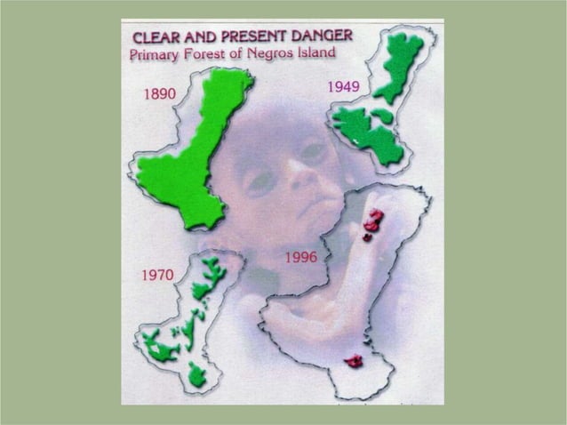 7. PD 705 & RELEVANT FORESTRY LAWS 11-27-29-13.ppt | Crime & Harmful ...