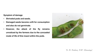 Pests of soyabean_Binomics_IdentificationDr.UPR.pdf | Agriculture ...