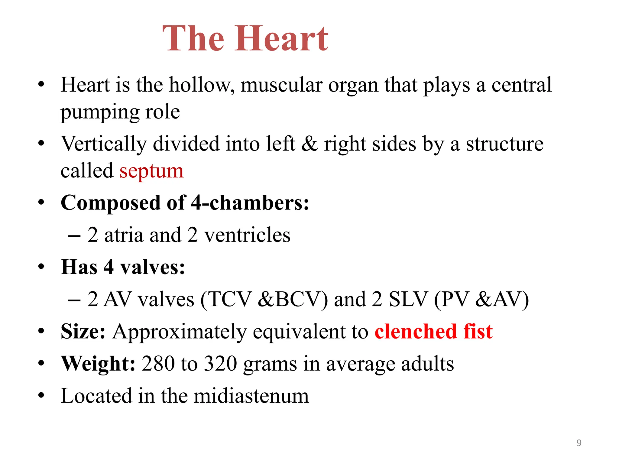 7. CARDIOVASCULAR PHYSIOLOGY.pdf bsc nursing | PDF