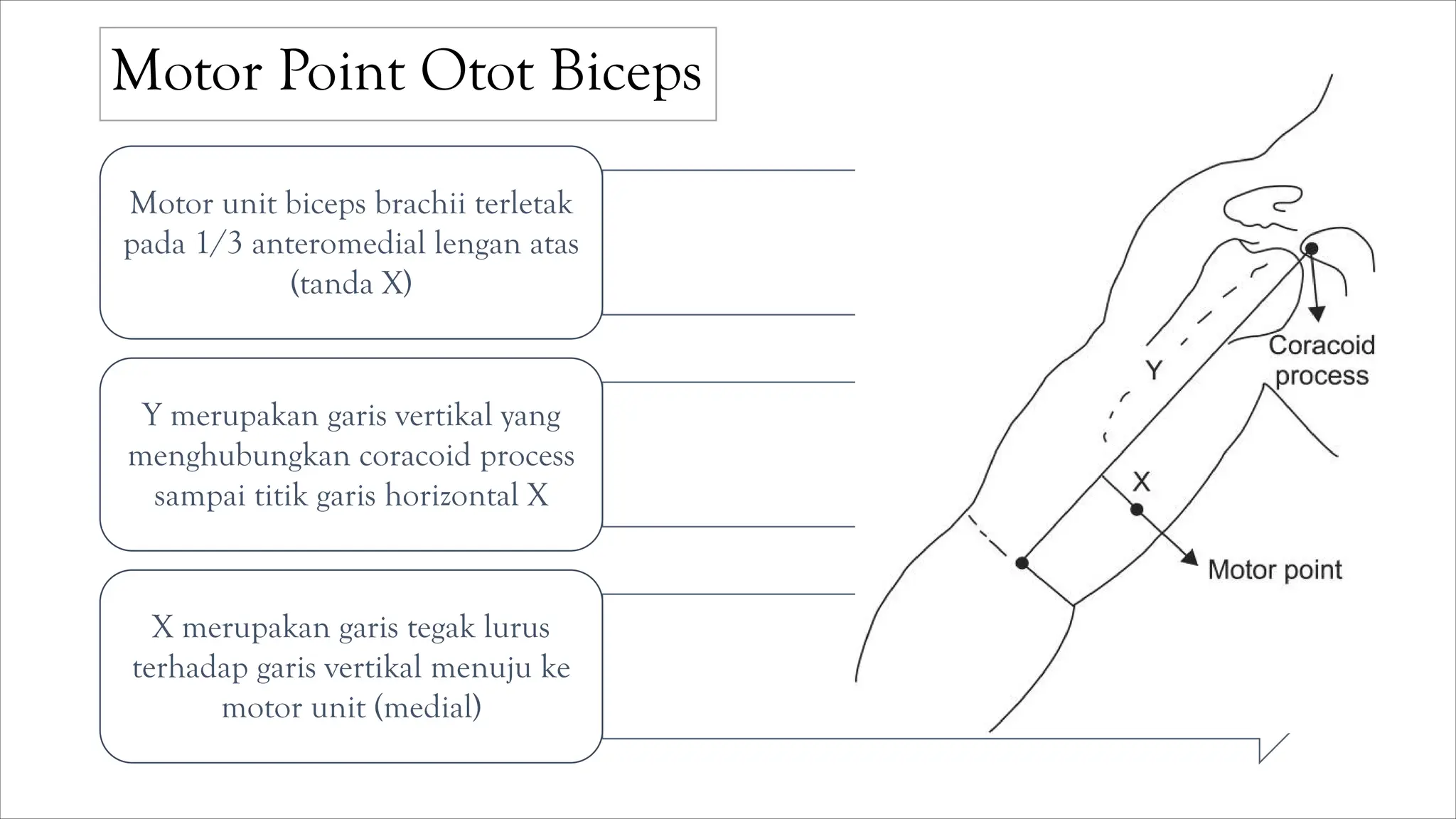 Materi Elektroterapi Fisioterapi Faradic Current | PDF