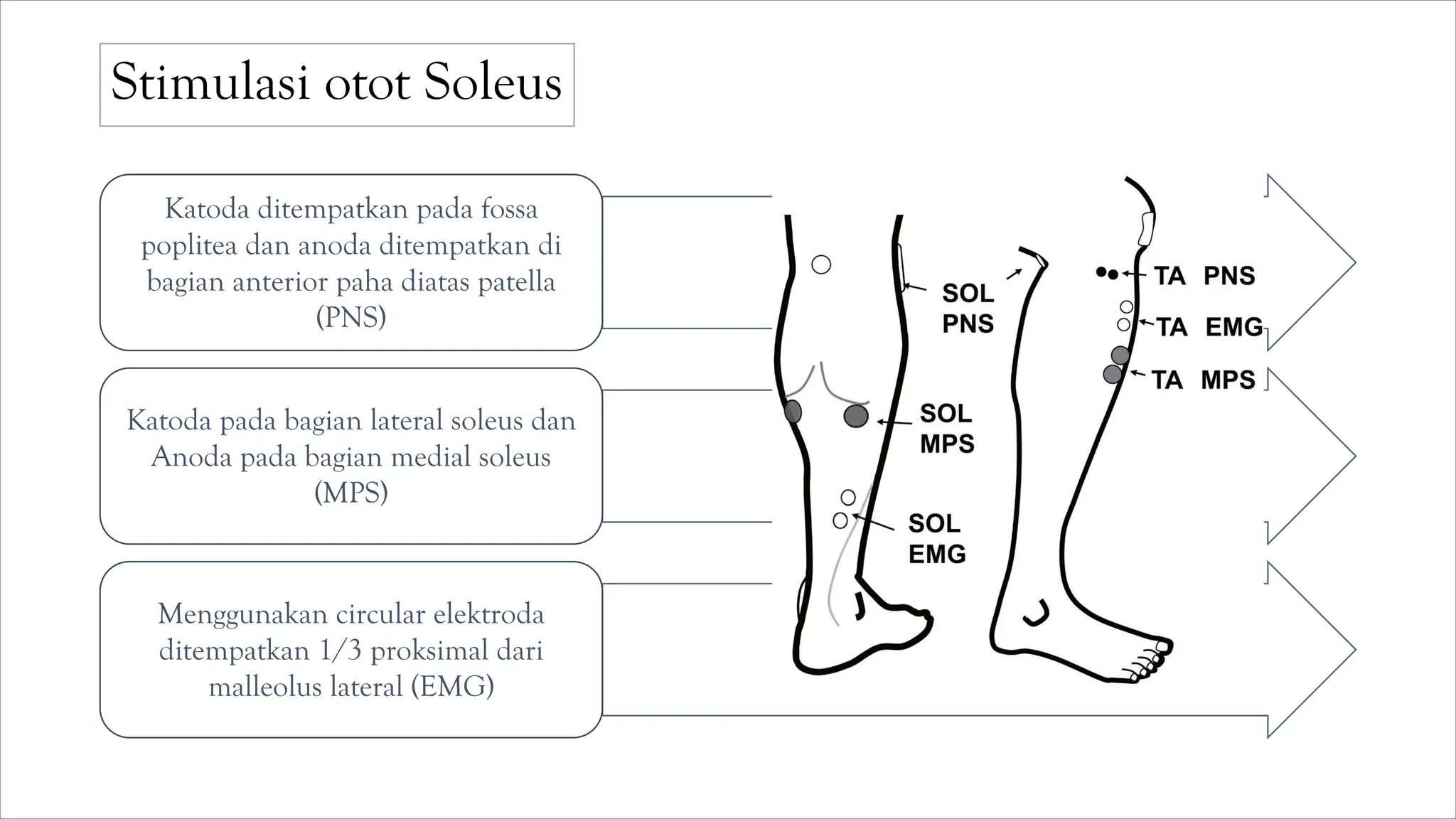 Materi Elektroterapi Fisioterapi Faradic Current | PDF