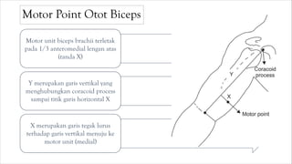 Materi Elektroterapi Fisioterapi Faradic Current | PDF