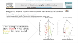 Materi Elektroterapi Fisioterapi Faradic Current | PDF