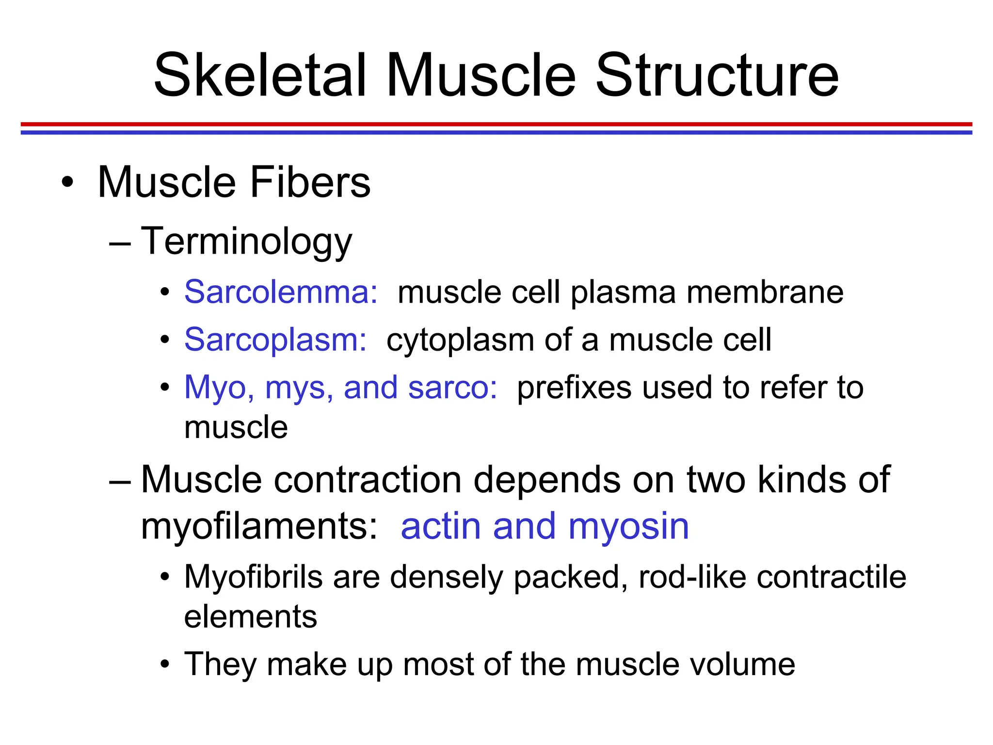 7.-The-Histology-and-Physiology-of-Muscles.ppt