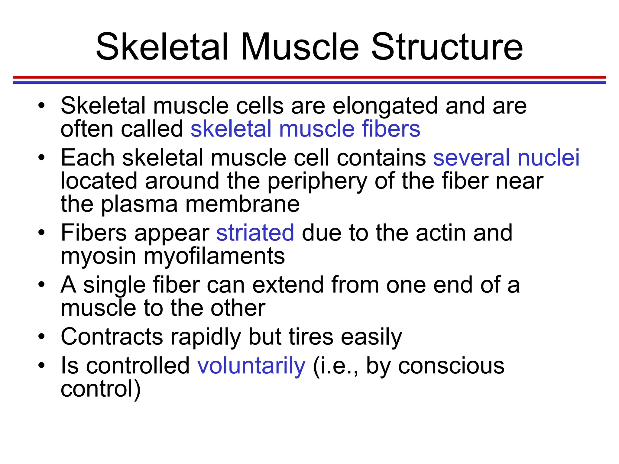 7.-The-Histology-and-Physiology-of-Muscles.ppt