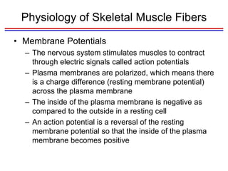 7.-The-Histology-and-Physiology-of-Muscles.ppt