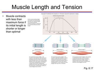 7.-The-Histology-and-Physiology-of-Muscles.ppt