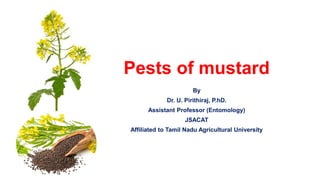 Pests of mustard_Identification_Management_Dr.UPR.pdf