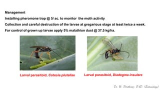 Pests of mustard_Identification_Management_Dr.UPR.pdf