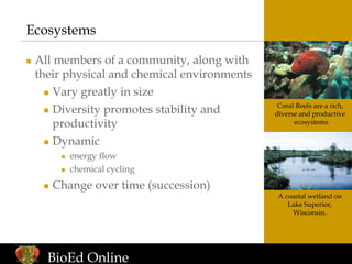 Pengembangan ekosistem secara mandiri untuk keberlangsungan hidup | PPT