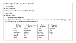 7. Water absorption and rooting pattern.pptx