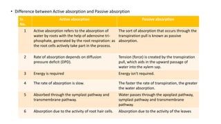 7. Water absorption and rooting pattern.pptx