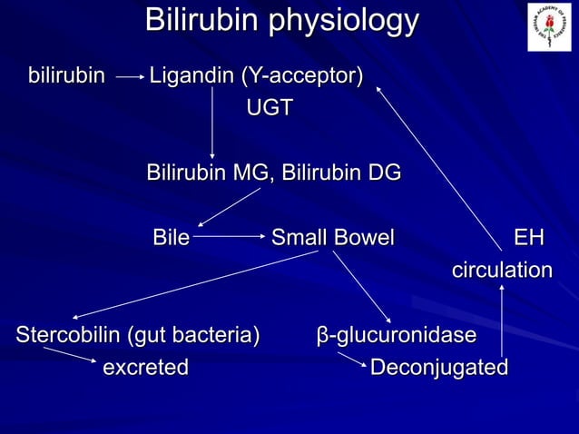 Neonatal jaundice with abo incompatibility, physiological jaundice | PPT