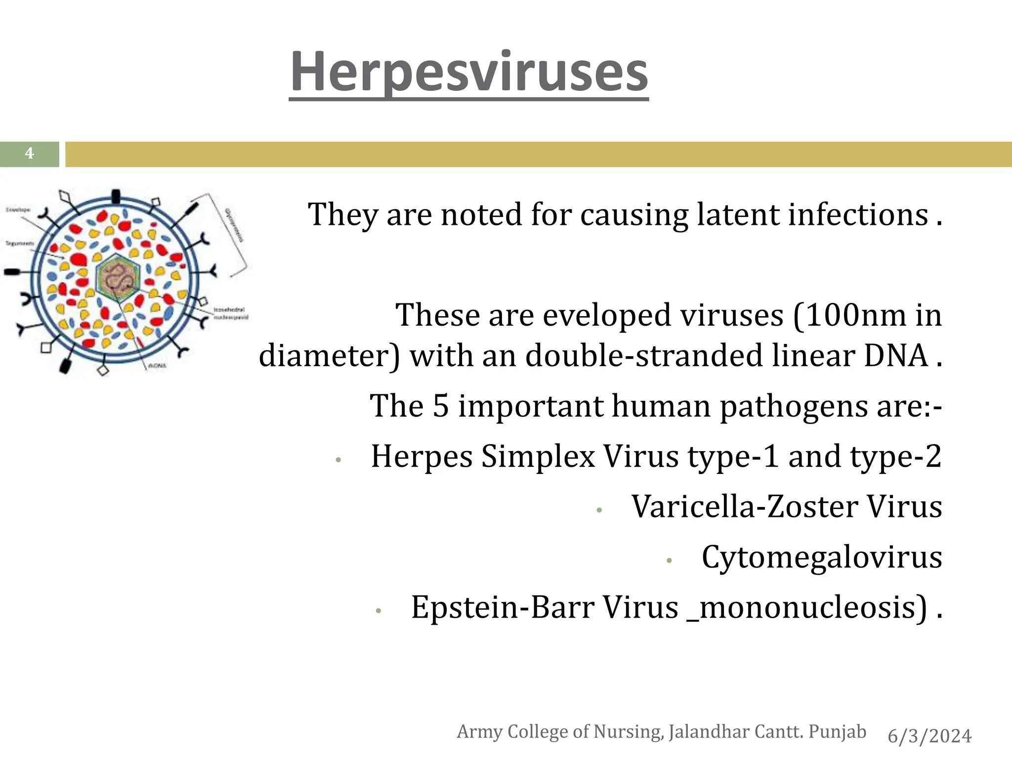 7. HERPES, treatment and nursing management .ppt