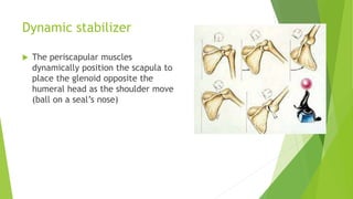 7. Approach to shoulder instability.pptx