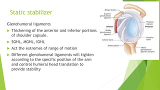 7. Approach to shoulder instability.pptx