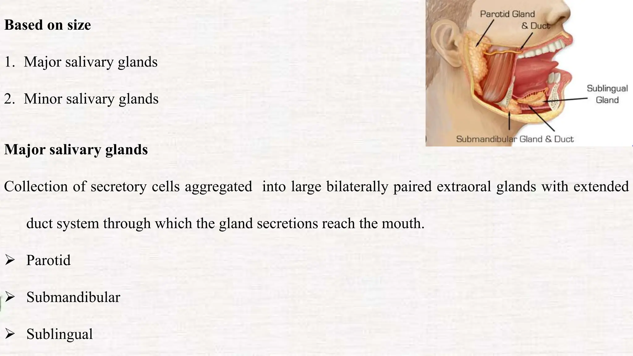 PART 1 SALIVARY GLANDS introduction.pptx