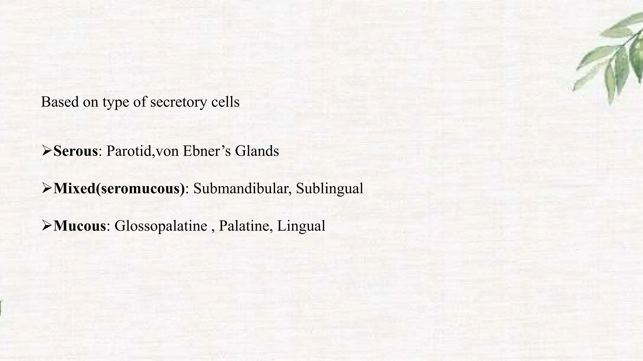PART 1 SALIVARY GLANDS introduction.pptx