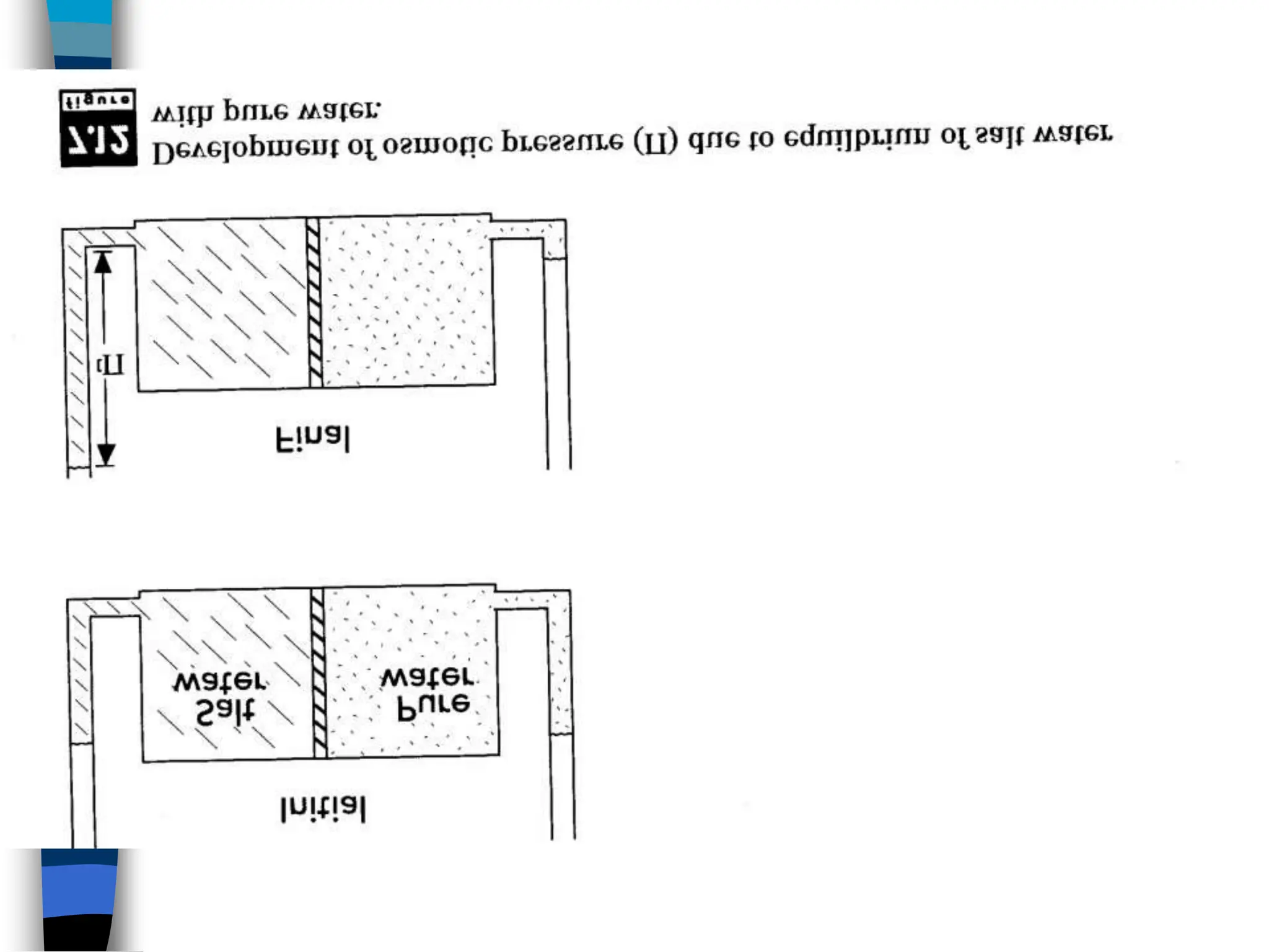 Liquid Concentration, Evaporation, Membrane Technology | PPT